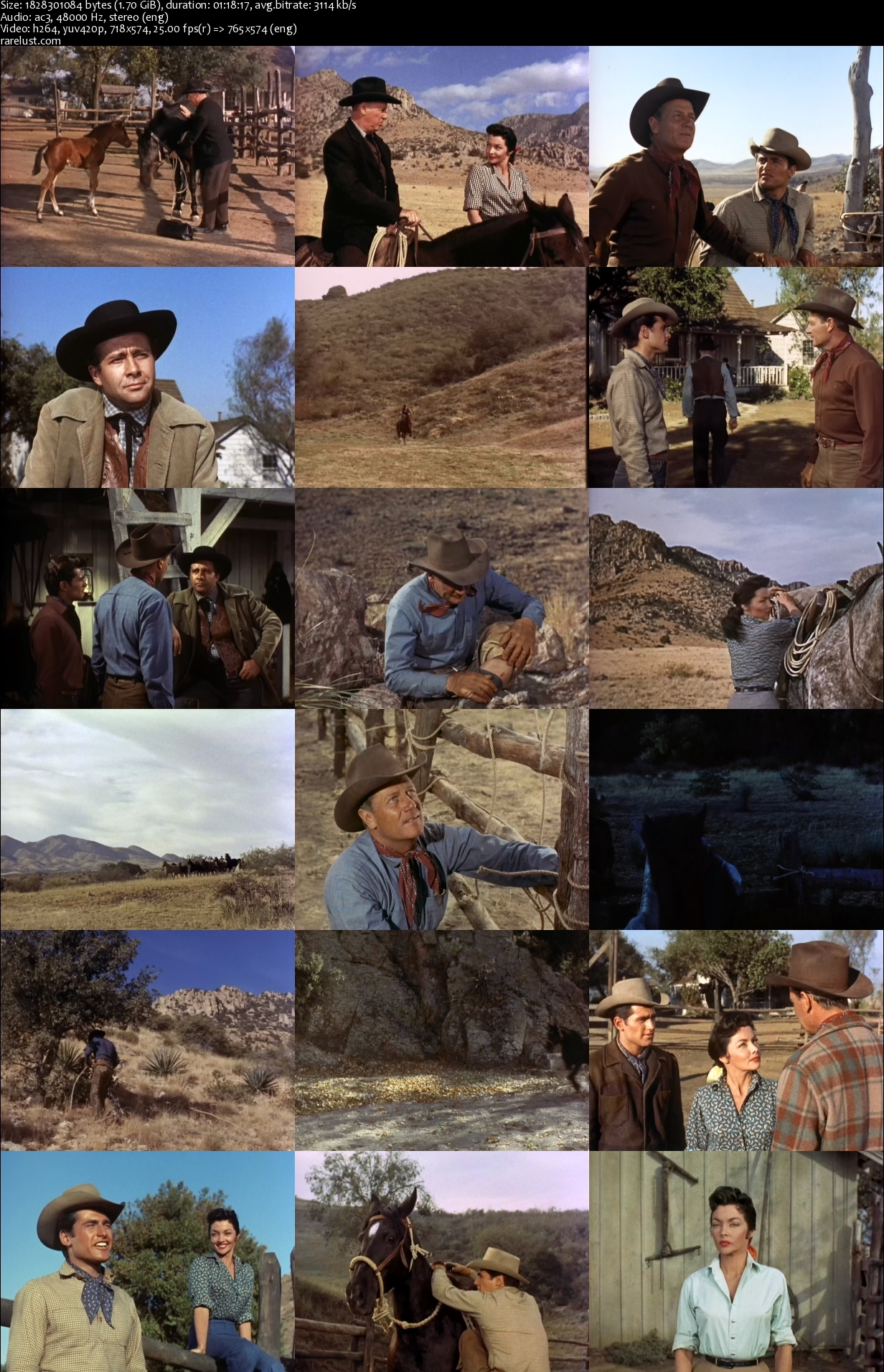Black Horse Canyon (1954) – Rarelust